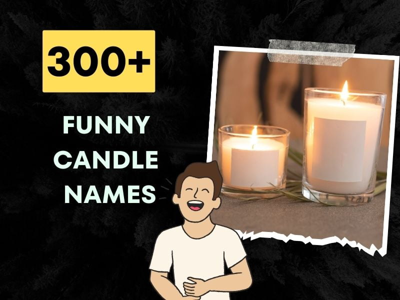 300 Funny Candle Names Light Up Your Laughter Today 