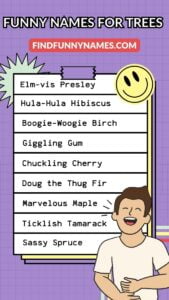 250+ Funny Names for Trees (Spice Up Your Botanical Vocabulary)