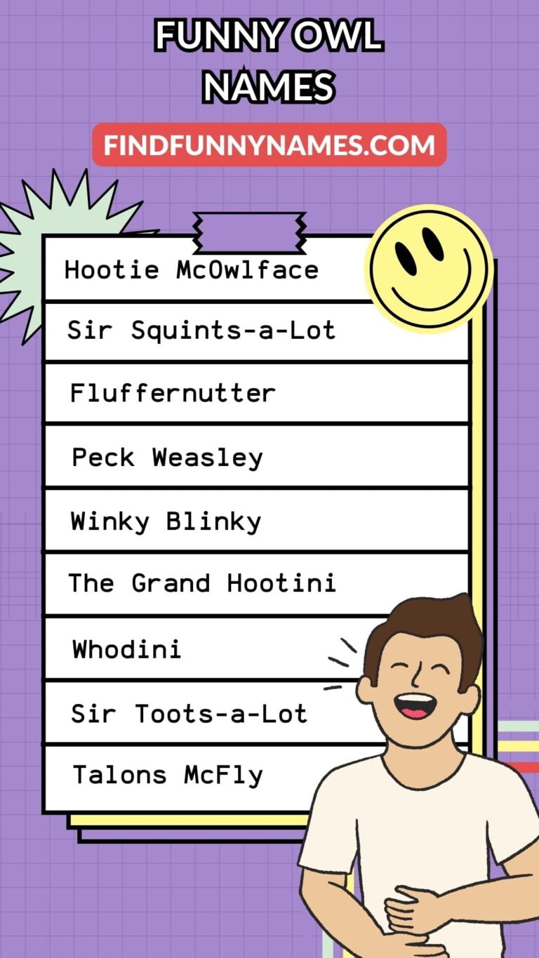 420+ Funny Owl Names Generator (2024)