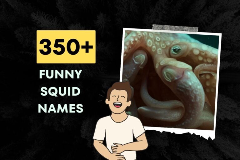 350+ Funny Squid Names (Cool & Hilarious)